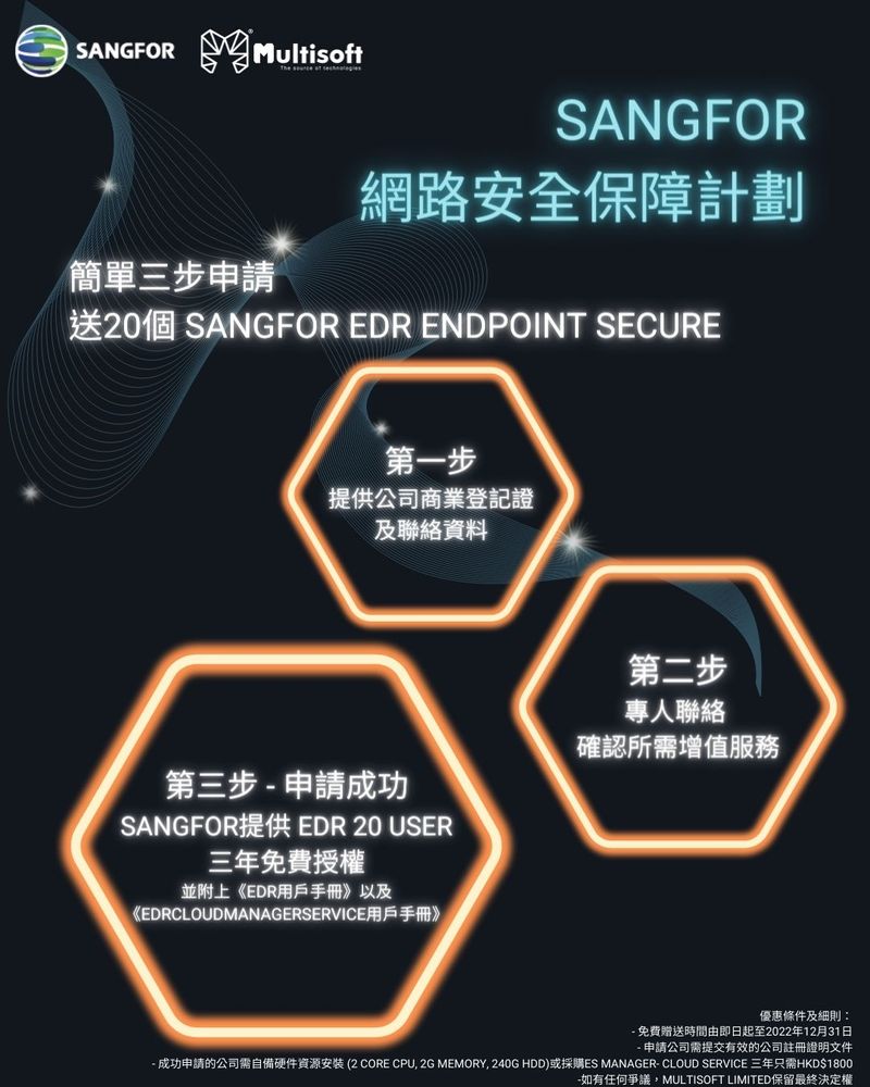 Multisoft | Your Appointed Cyber Security Protector